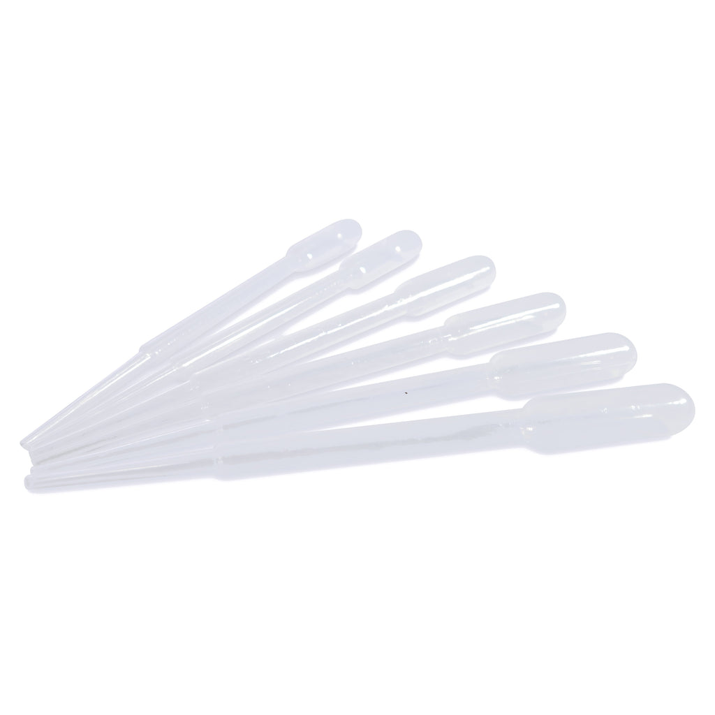 DIY Makeup Supplies: Tools & Equipment — TKB Trading